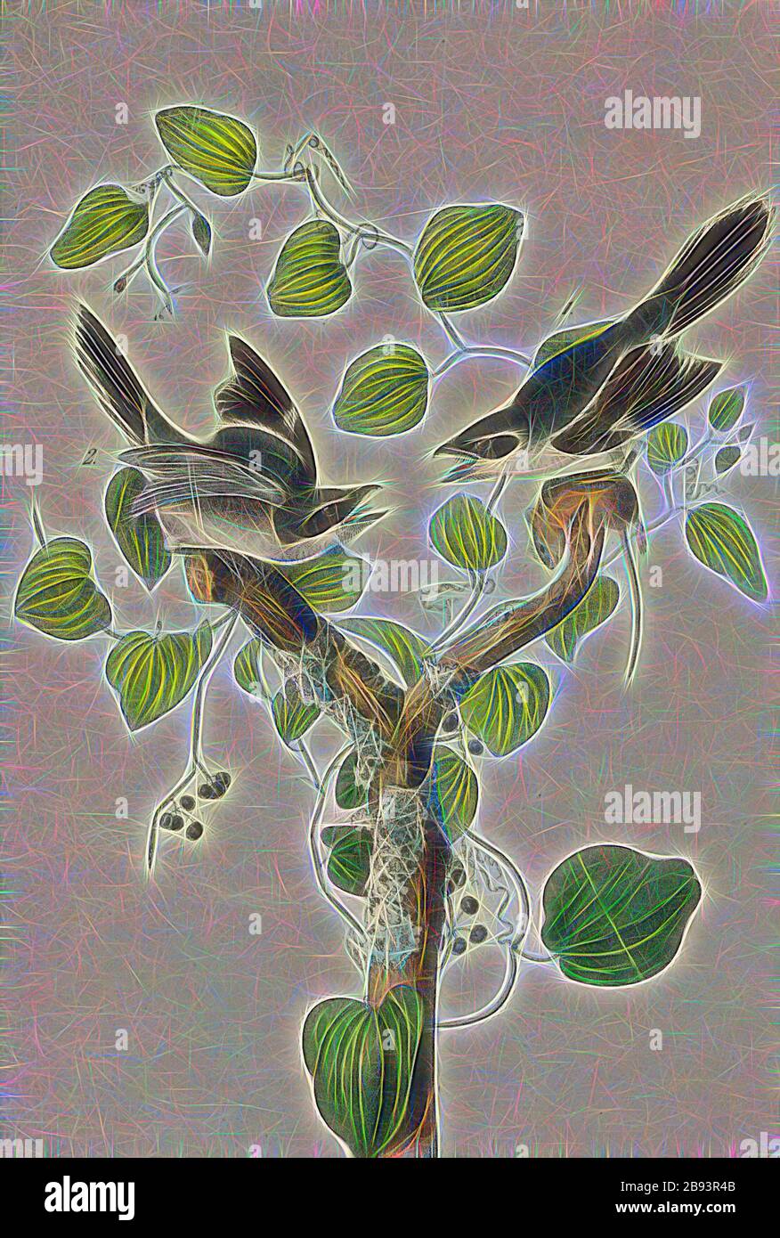 Stinging winches hi-res stock photography and images - Alamy