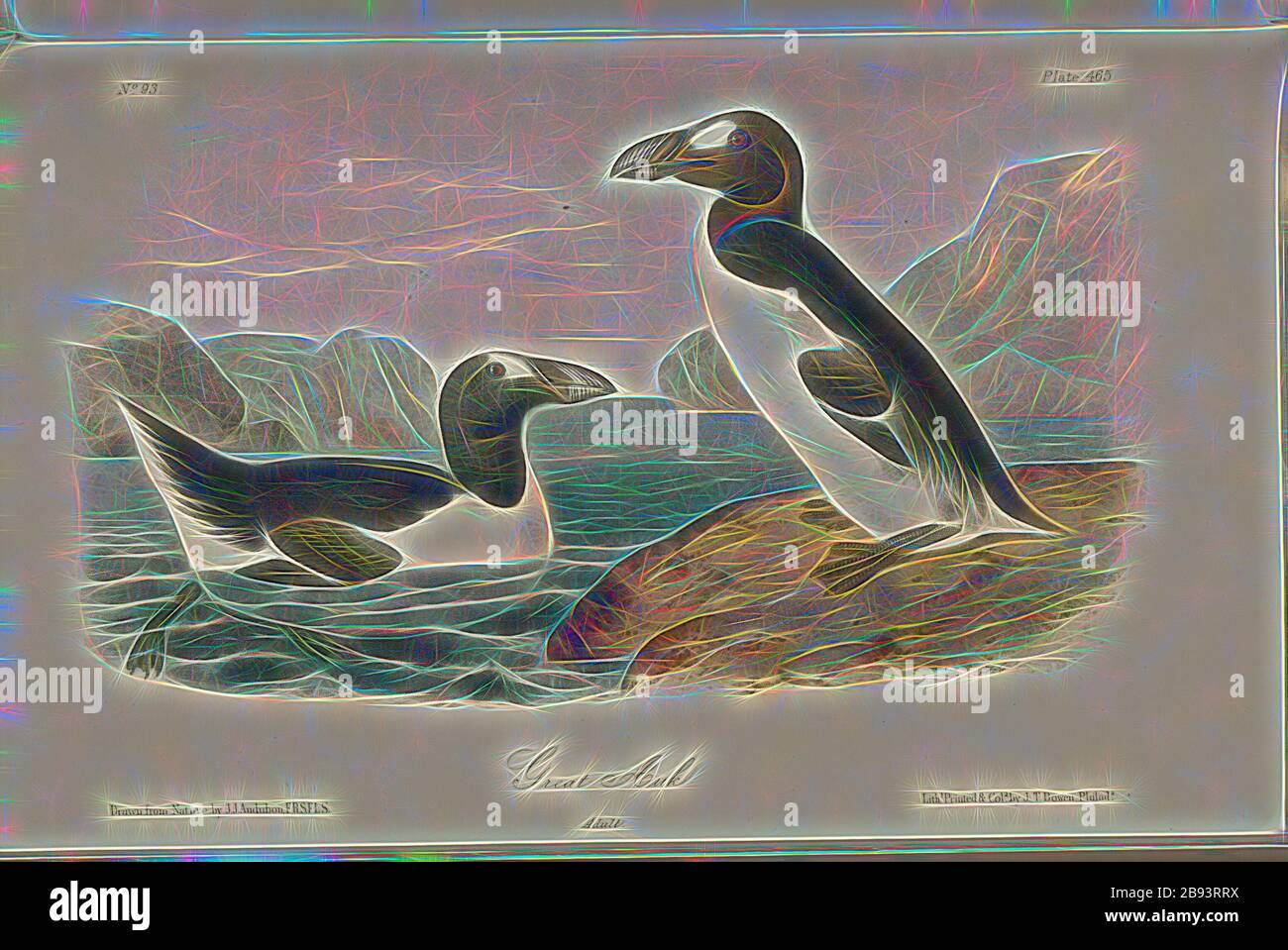 John t bowen john james audubon hi-res stock photography and images - Alamy