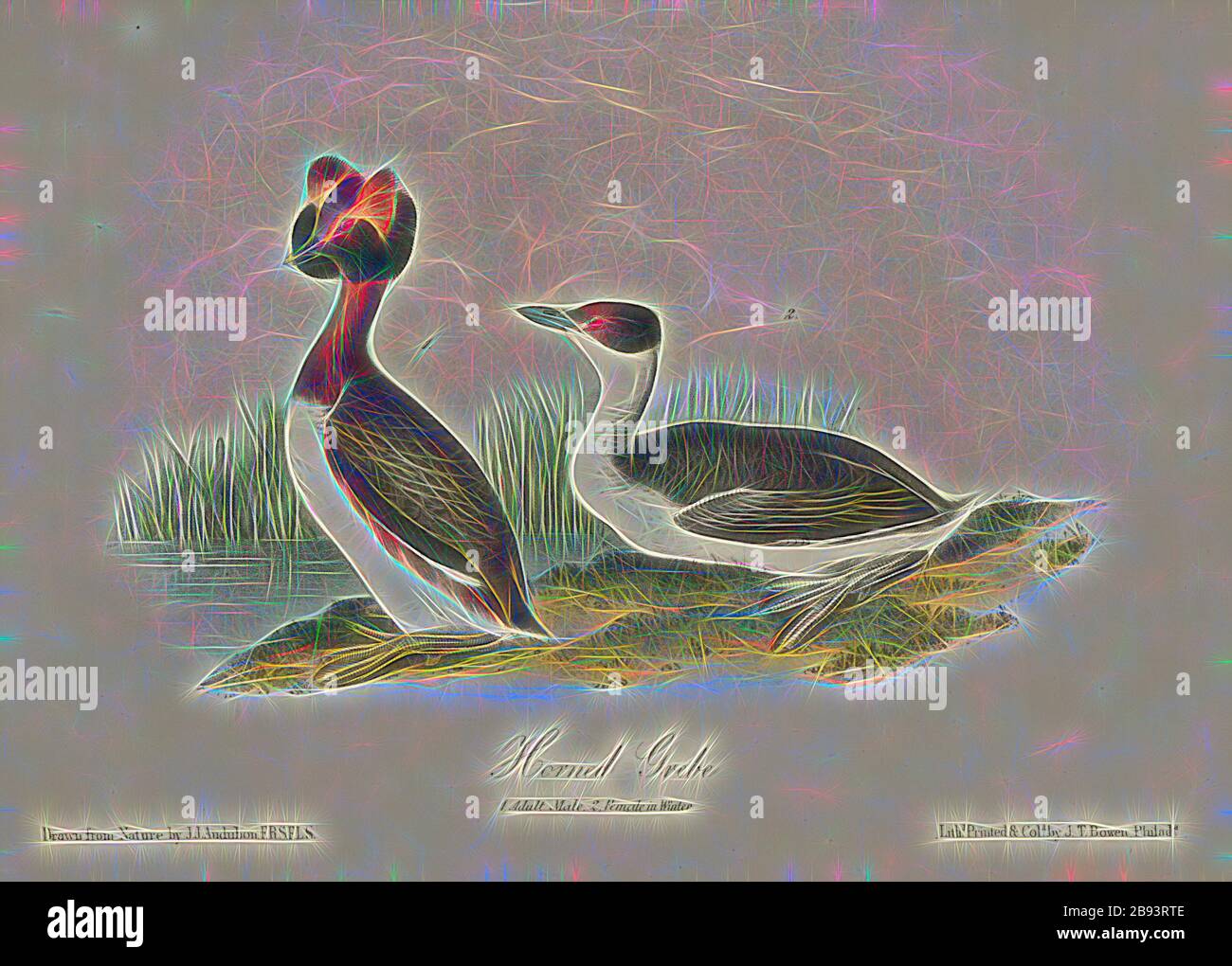 Pl 481 hi-res stock photography and images - Alamy