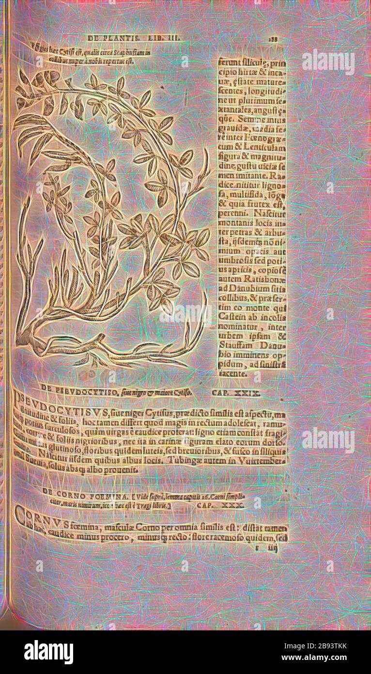 White elf ivy eighteenth century hi-res stock photography and images ...