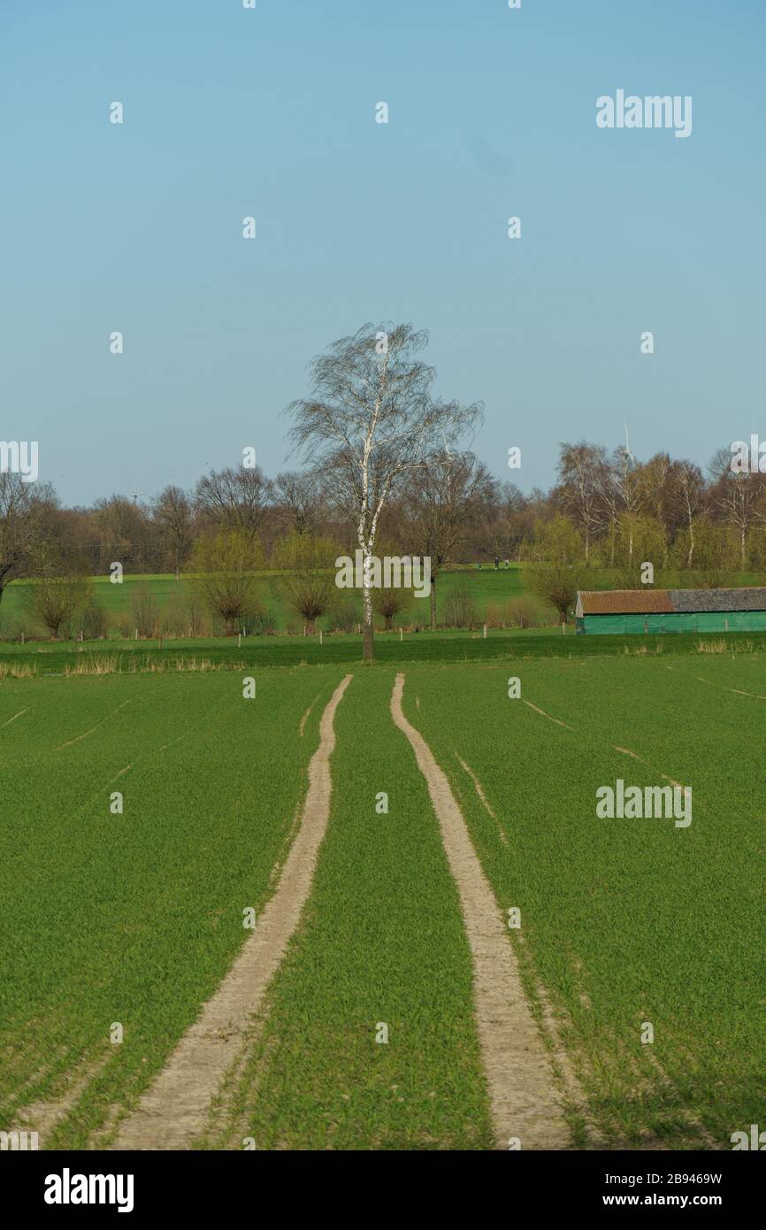 spring in the german muensterland Stock Photo - Alamy
