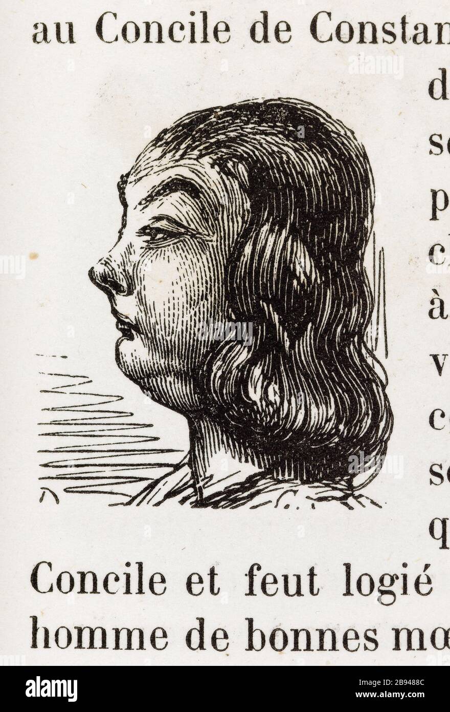 Ioly hi-res stock photography and images - Alamy