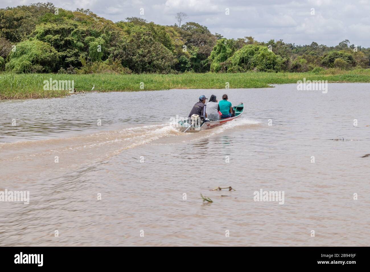 houses of the riverine population in the interior of the Amazon in ...