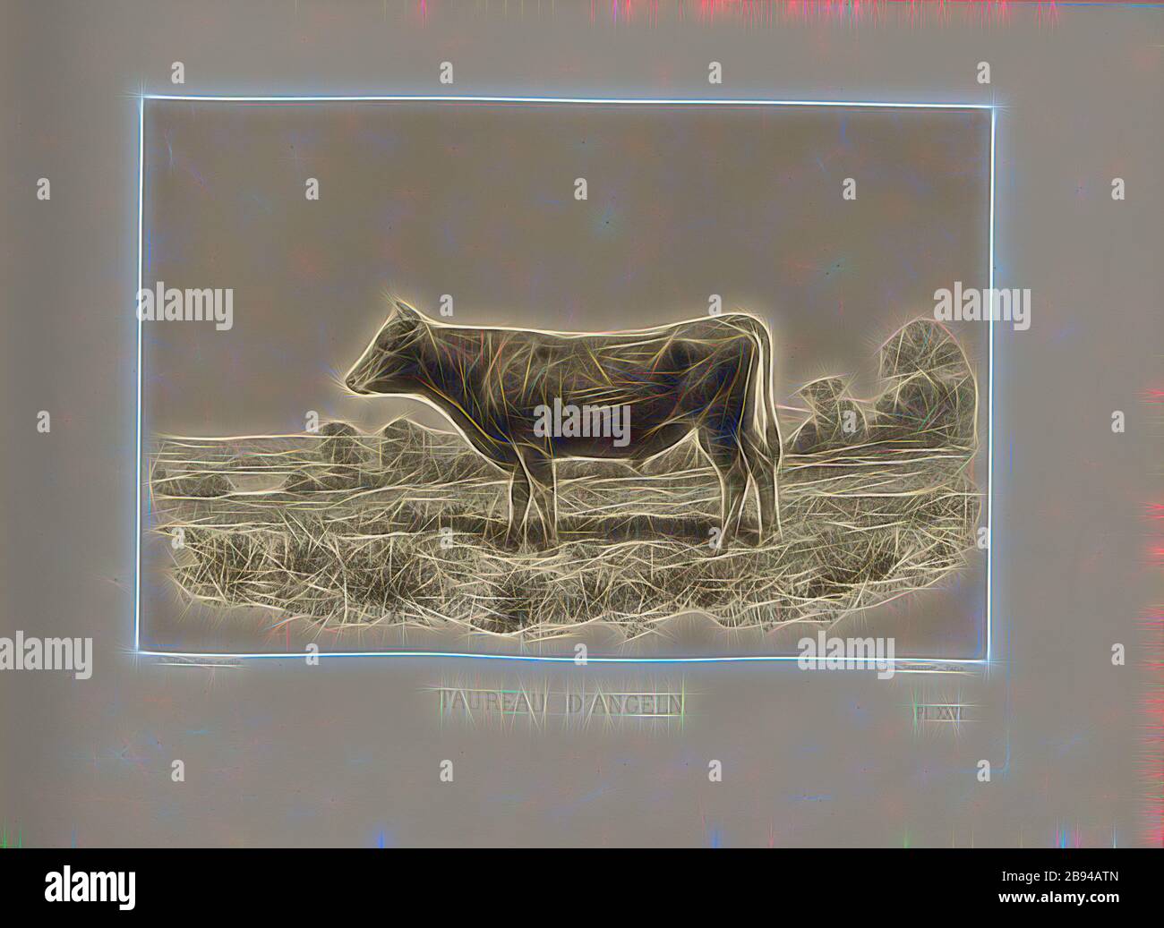 Angelns hi-res stock photography and images - Alamy