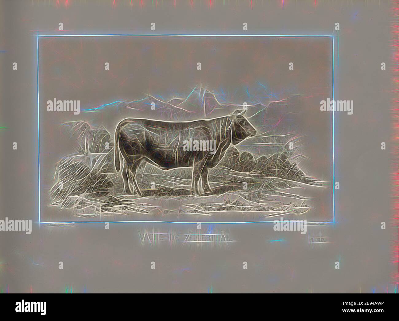 Austrian cattle breed hi-res stock photography and images - Alamy