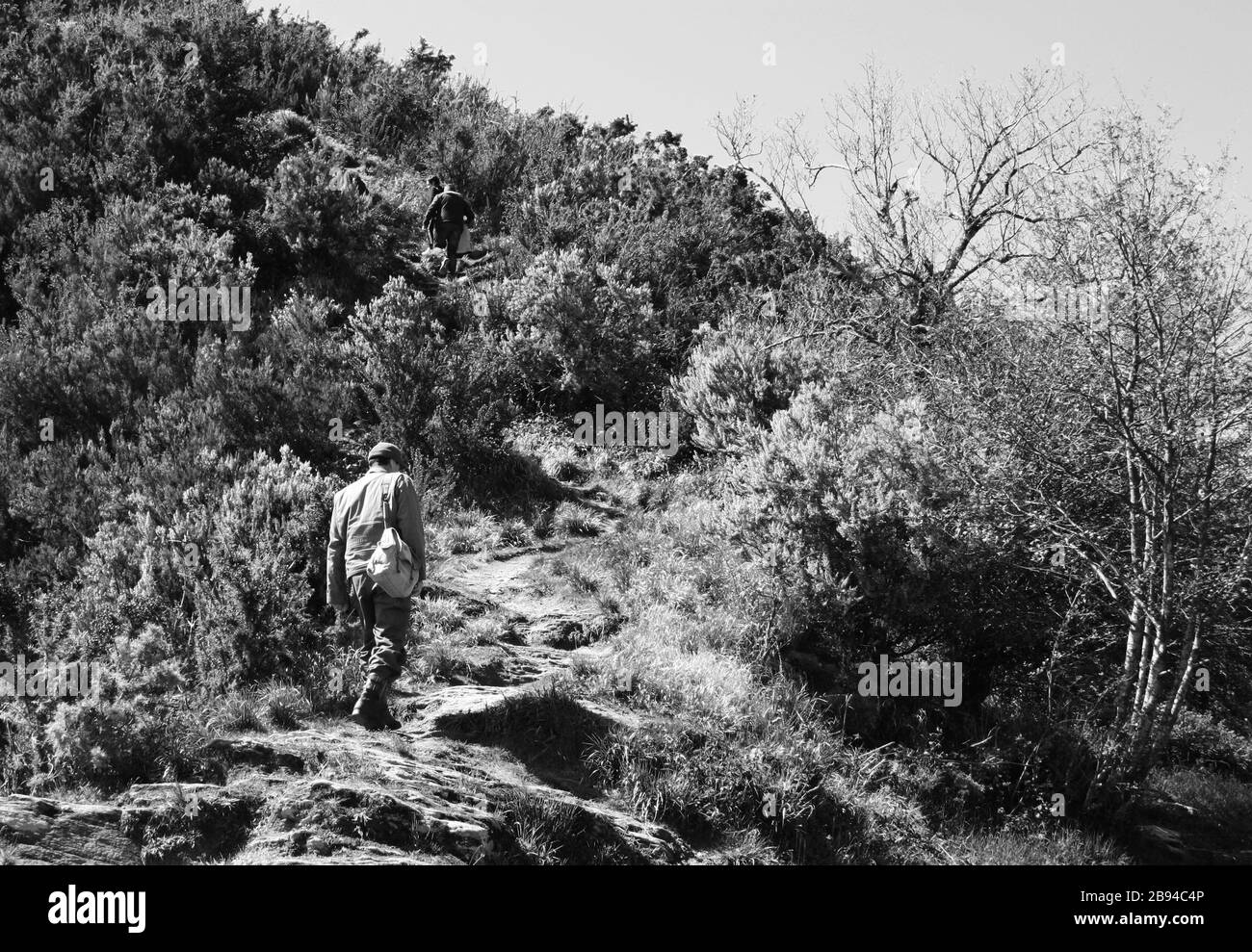 Ww2 army climbing hi-res stock photography and images - Alamy