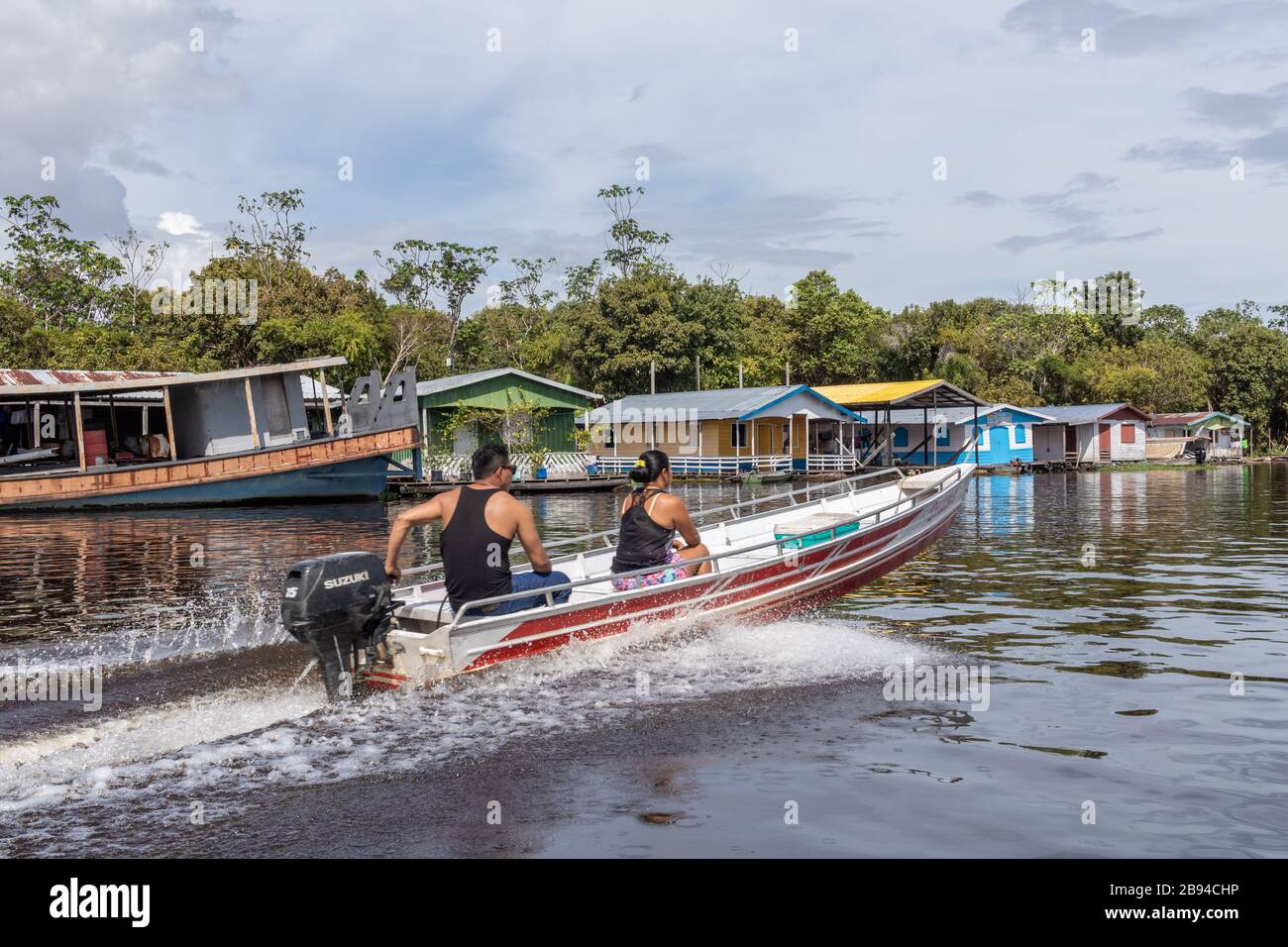 Amazon forest dragon hi-res stock photography and images - Alamy
