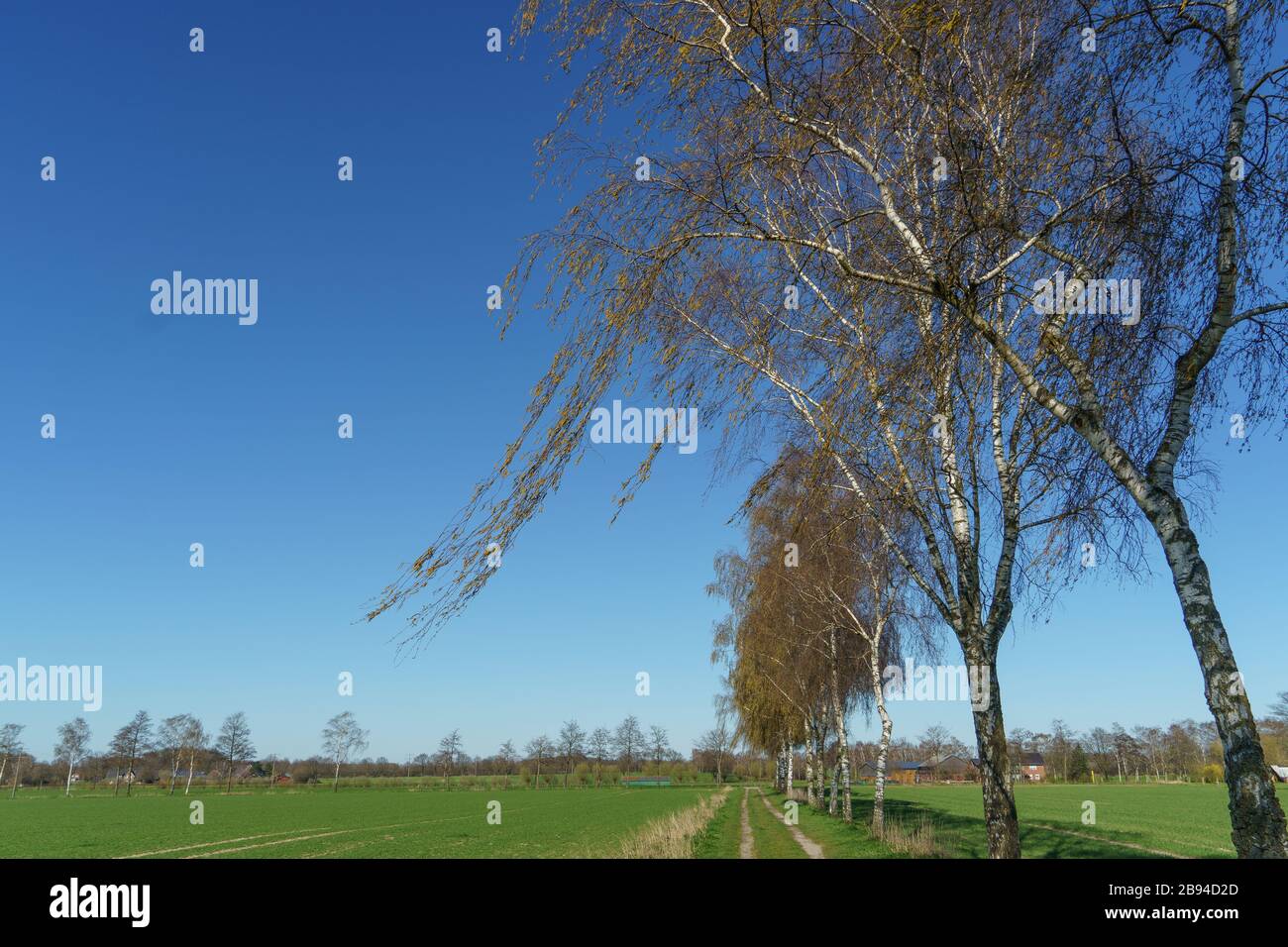spring time in germany Stock Photo - Alamy