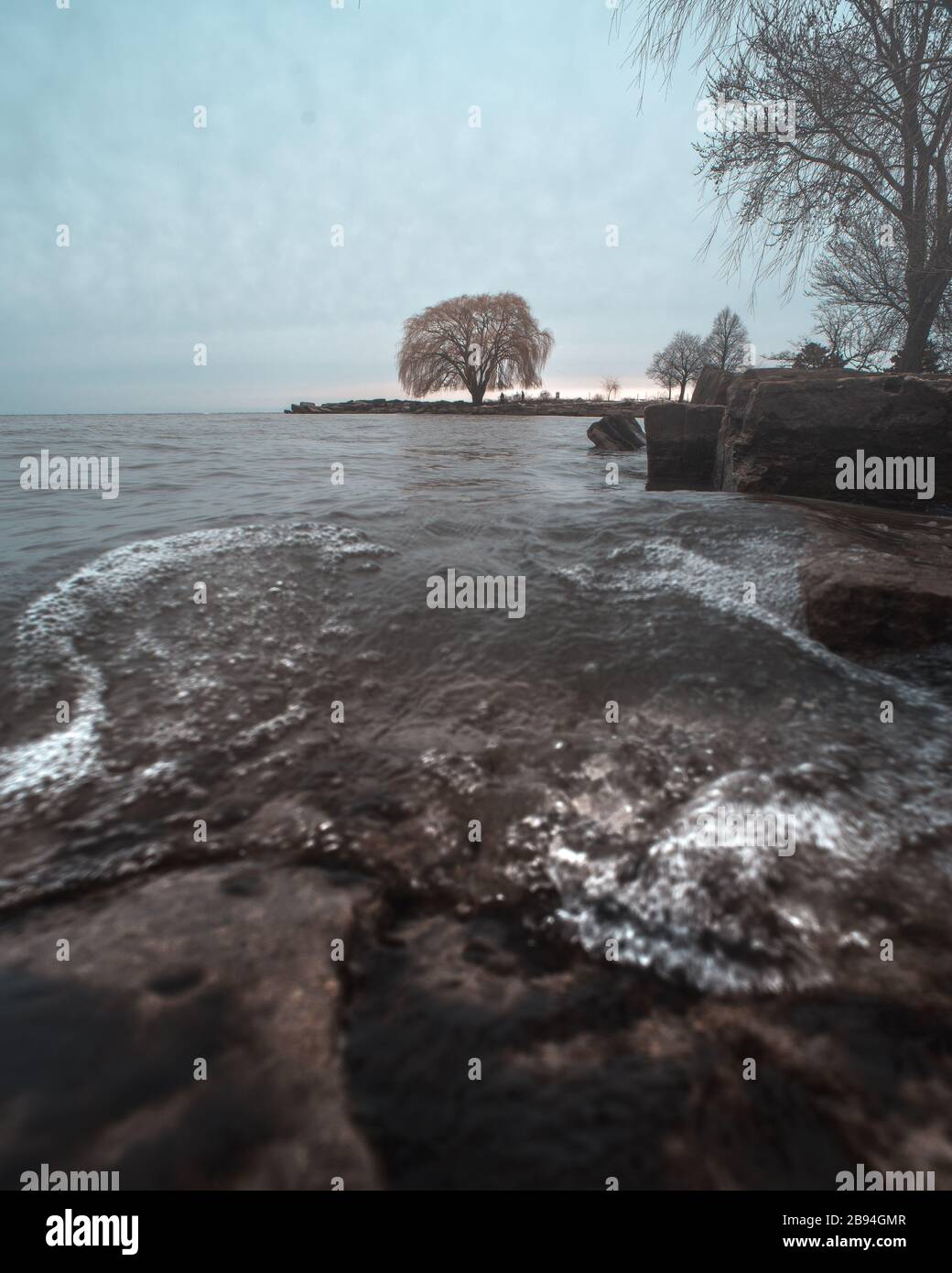 Edgewater Park Willow Tree in Cleveland Ohio Stock Photo - Alamy