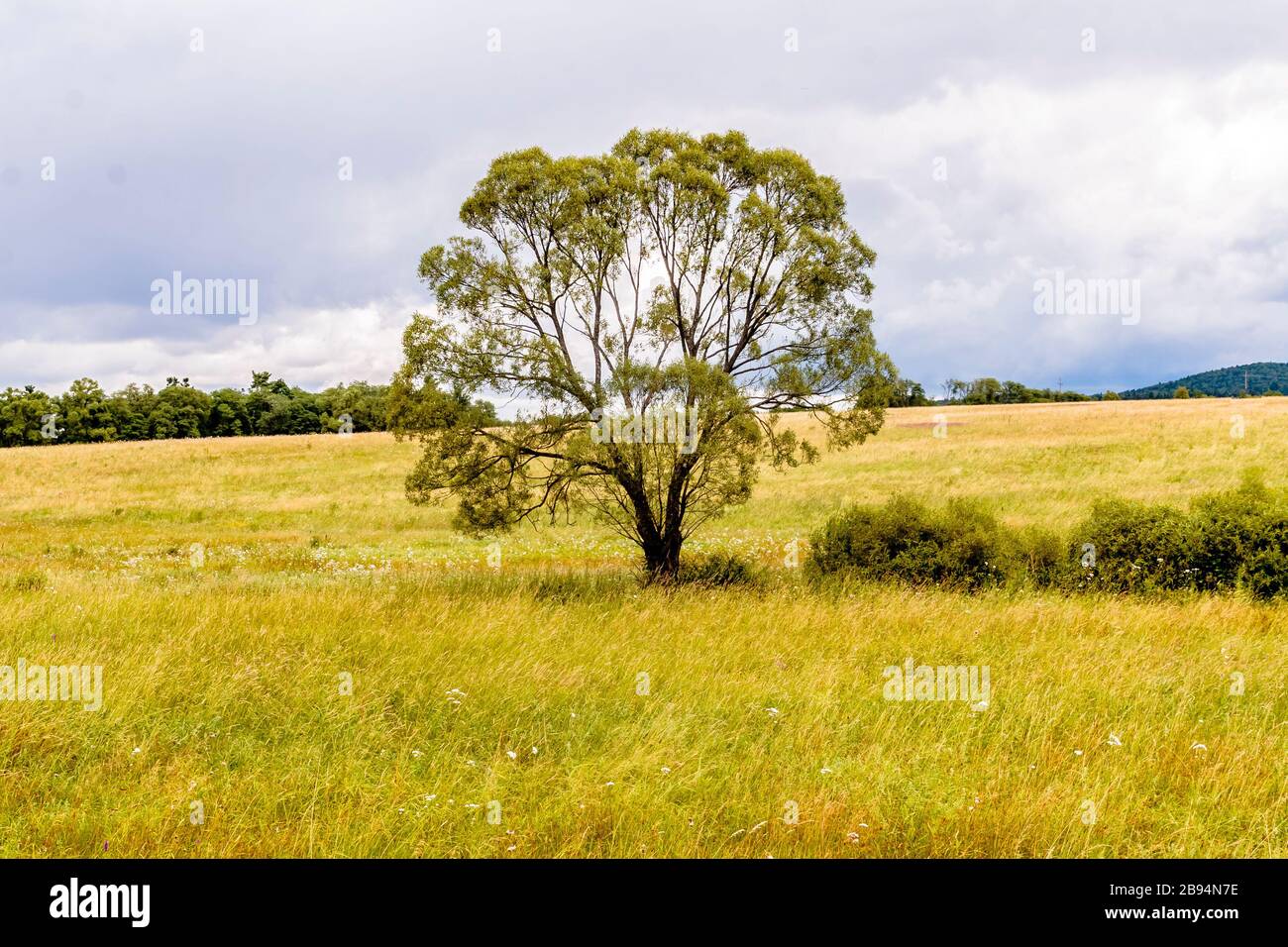 Smolnik on the Oslawa River in the Bieszczady Mountains in Poland Stock ...