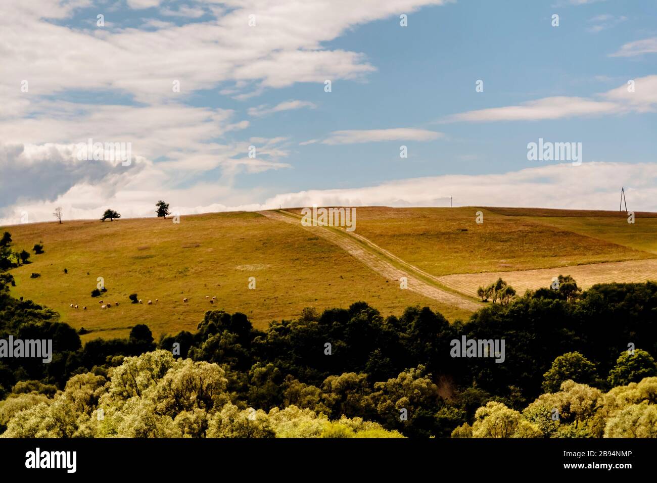 Smolnik on the Oslawa River in the Bieszczady Mountains in Poland Stock ...
