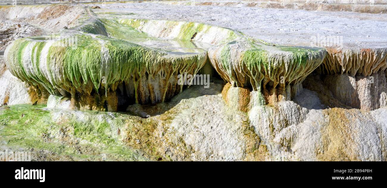 Elevated view photograph of geothermal activity produced thermal spring ...