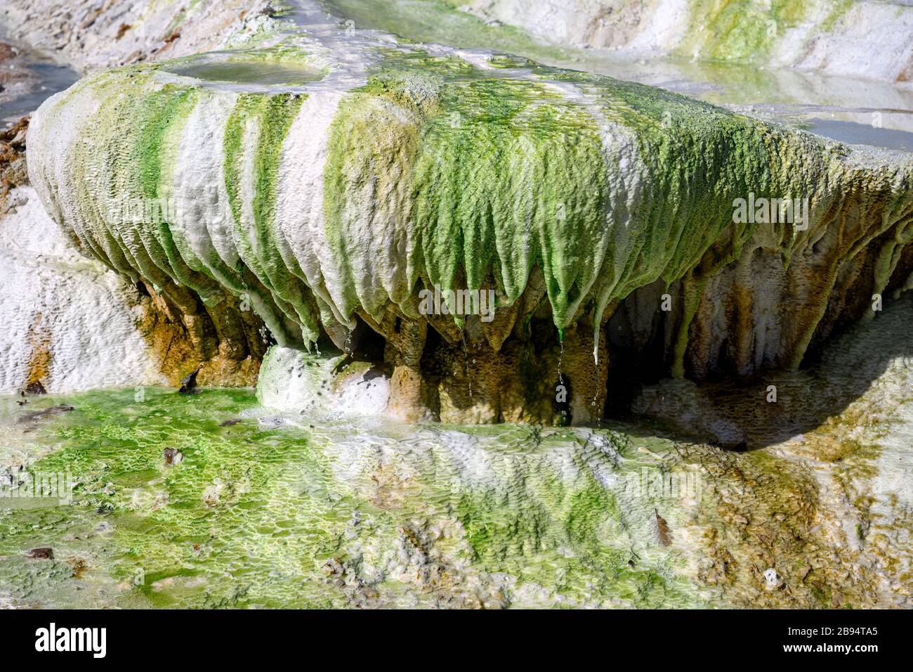 Elevated view photograph of geothermal activity produced thermal spring ...