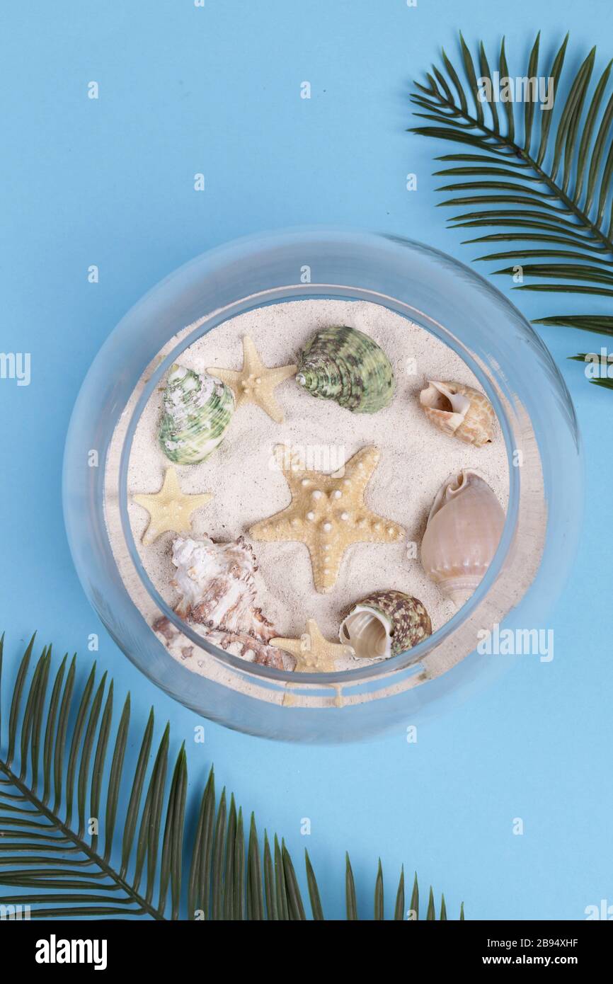 tropical style life with shells and fruits Stock Photo - Alamy