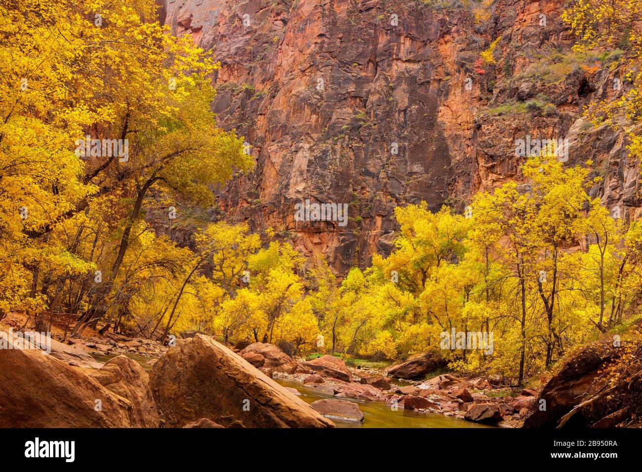 Springdale zion national park hi-res stock photography and images - Alamy
