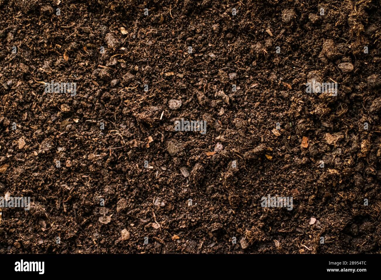 Earth ground texture as background, nature and environmental backdrop ...