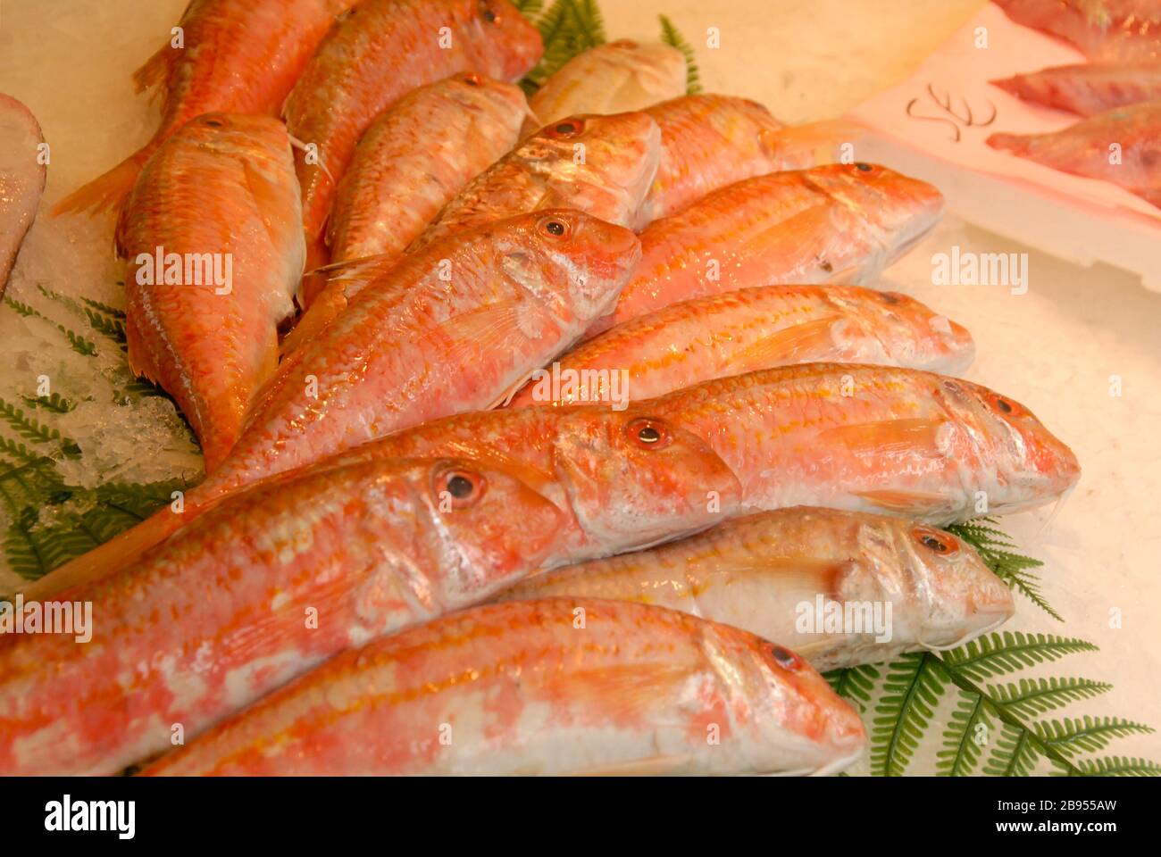 Red mullet at fresh fish market in Paris Stock Photo - Alamy