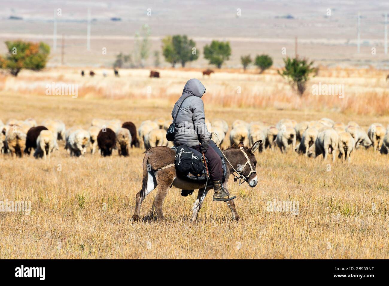 Man riding a donkey hi-res stock photography and images - Alamy