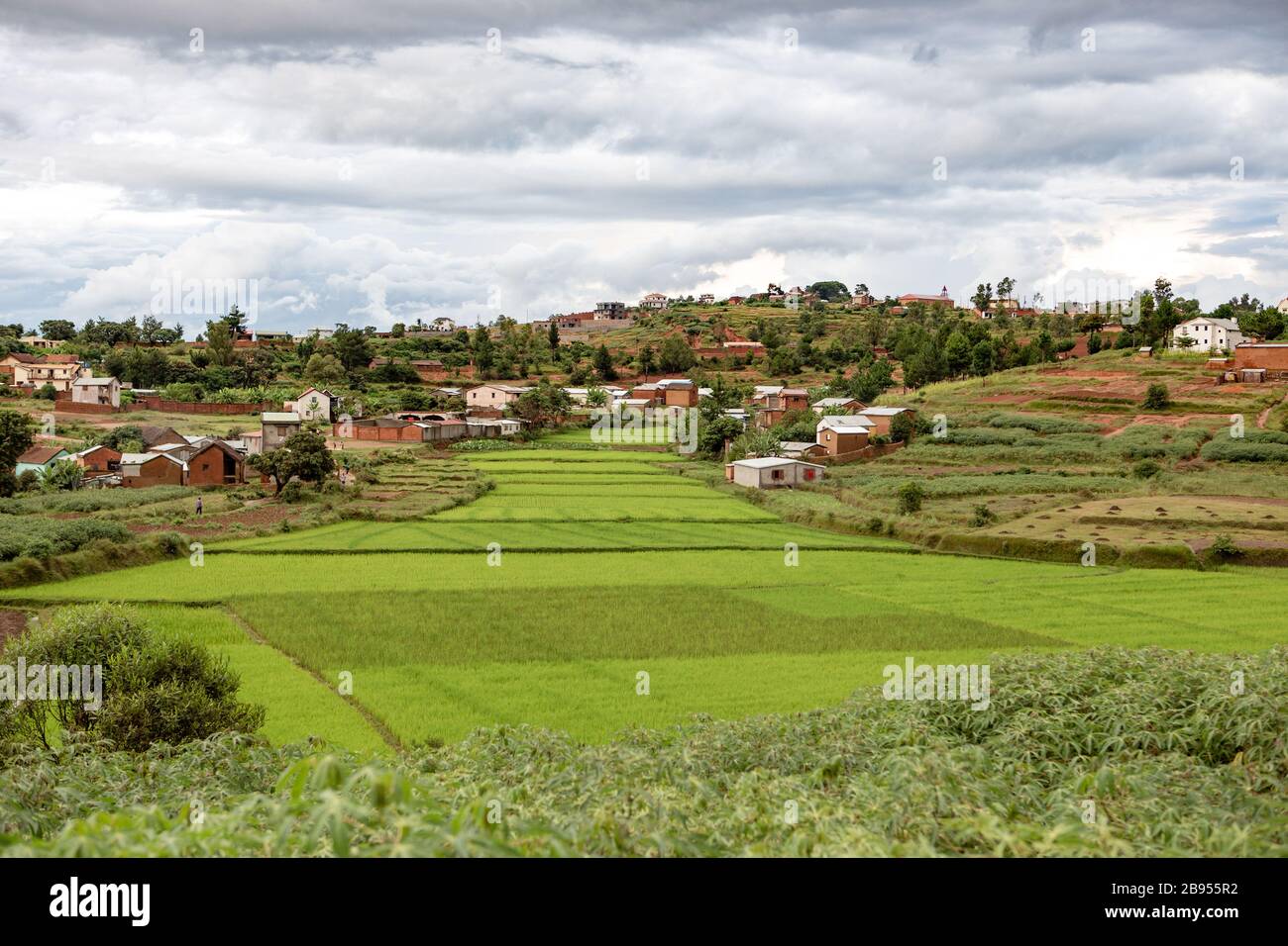Traditional houses and rice paddy near Antananarivo, Madagascar Stock ...