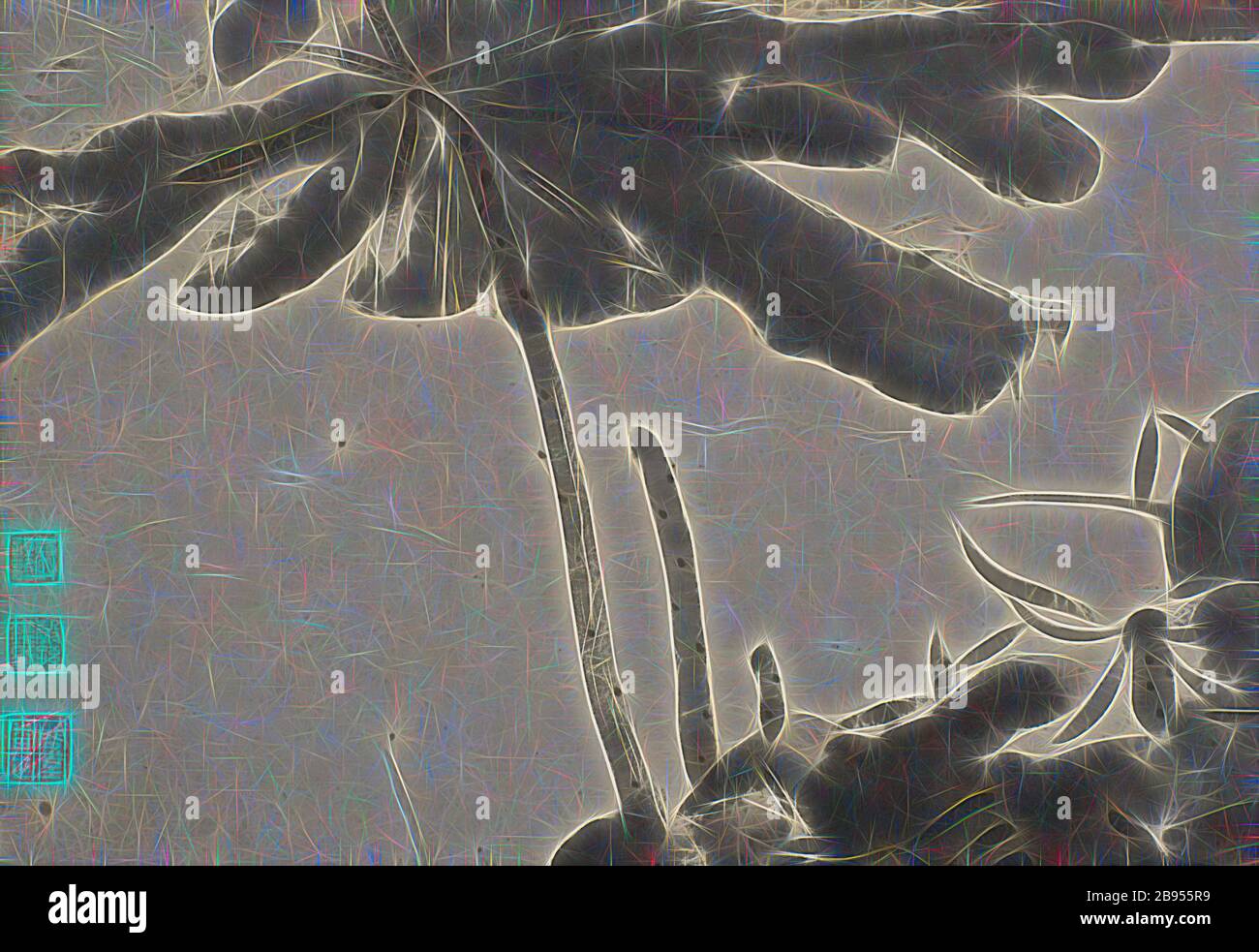 Lotus Pond, Zhu Da (Chinese, 1624-1705), Qing dynasty, period, Kangxi ...