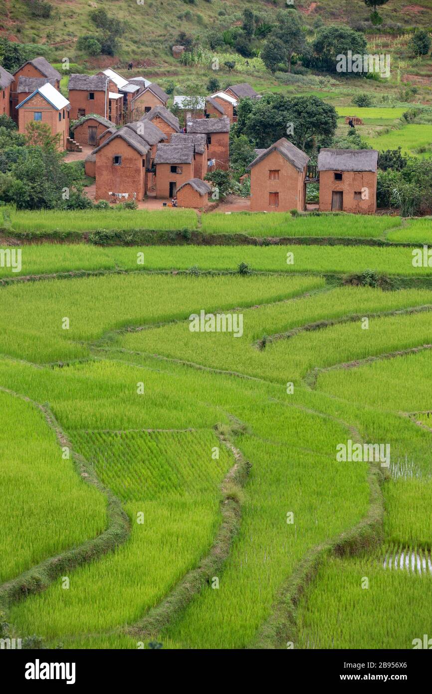 Rice terraces madagascar hi-res stock photography and images - Alamy