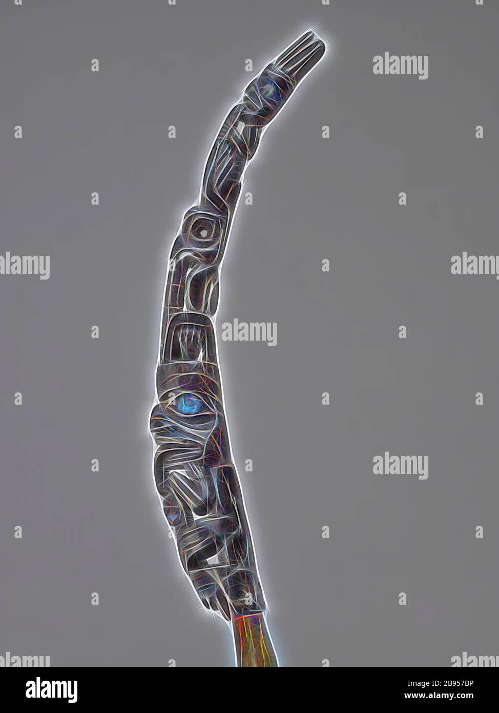 ceremonial feast ladle with representation of crest legend, Kaigani ...