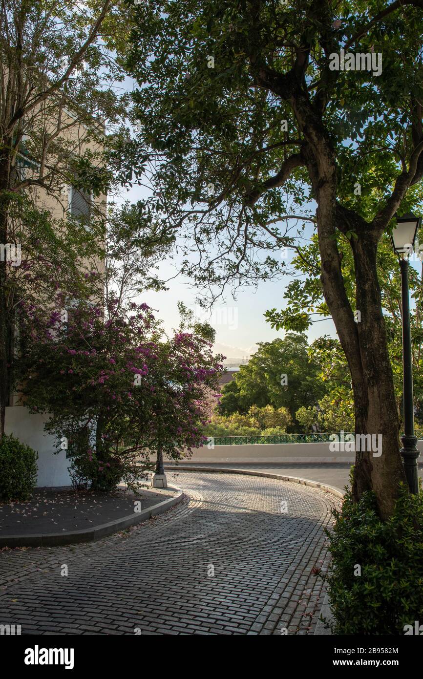 Tropical cool, serene, sunny and shaded uphill cobblestone street ...