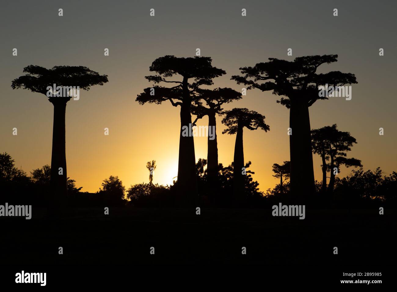 Madagascar landmark hi-res stock photography and images - Alamy