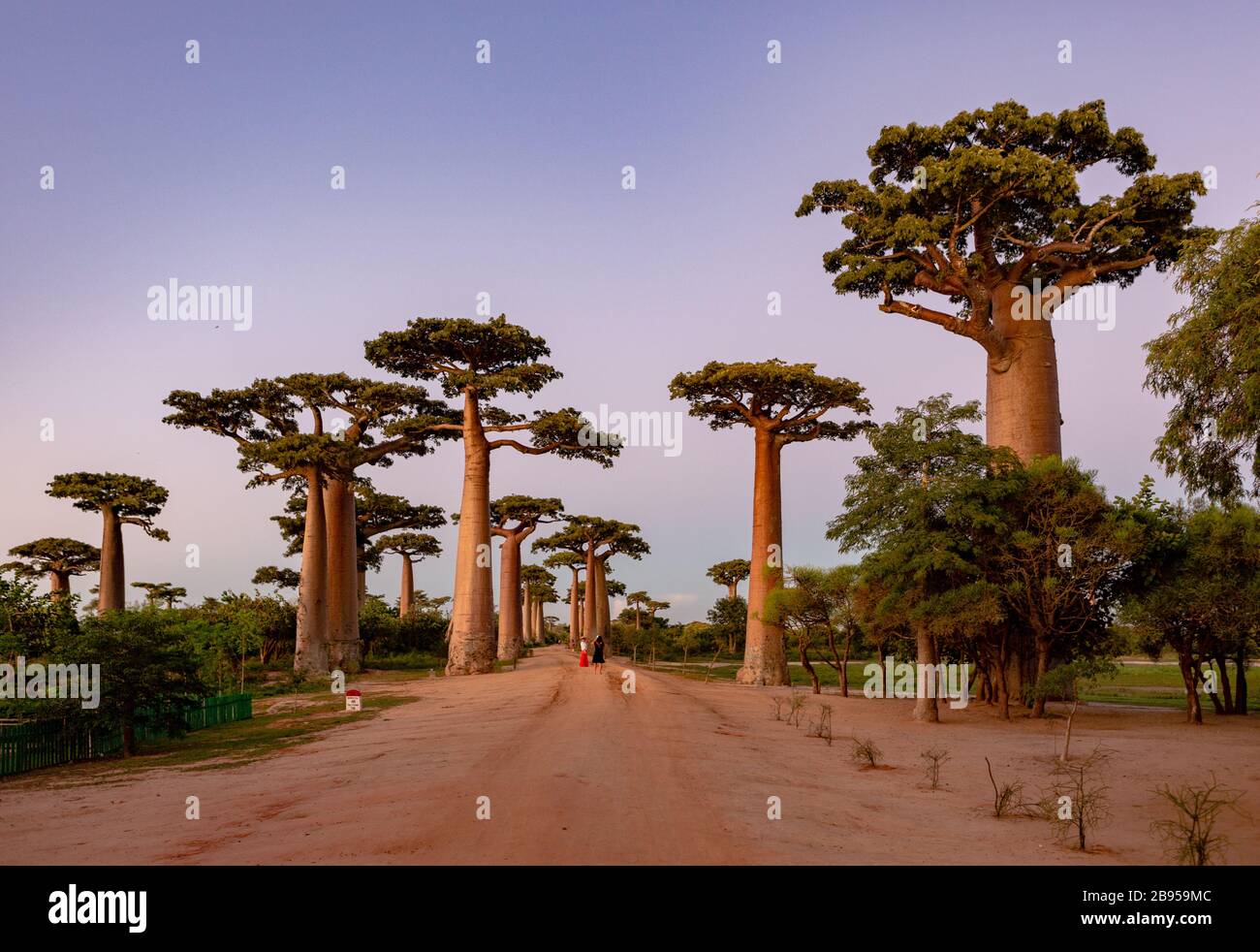 Madagascar Landmark High Resolution Stock Photography and Images - Alamy