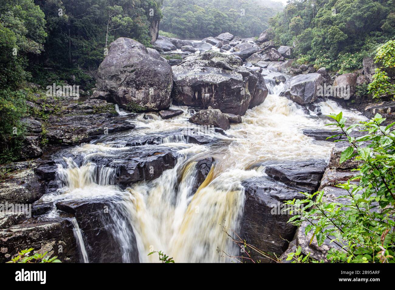 Madagascar, waterfalls in the trophic jungle between Fianarantsoa and ...