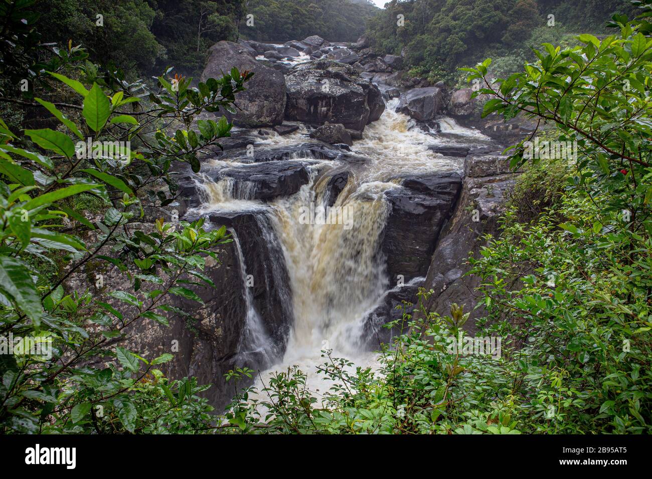 Madagascar, waterfalls in the trophic jungle between Fianarantsoa and ...