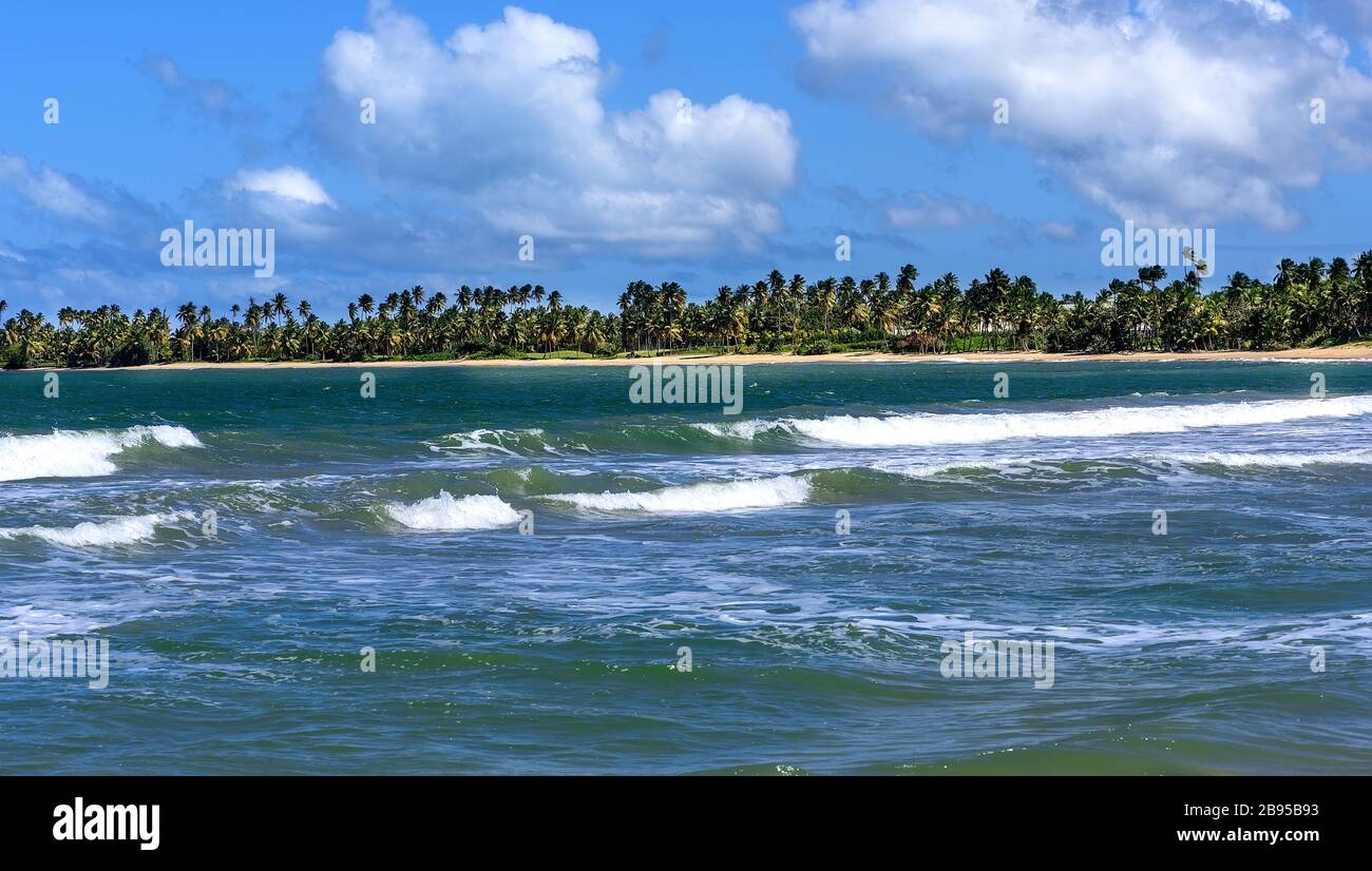 Sunny tropical beach and Atlantic Ocean waves on the island of Puerto ...