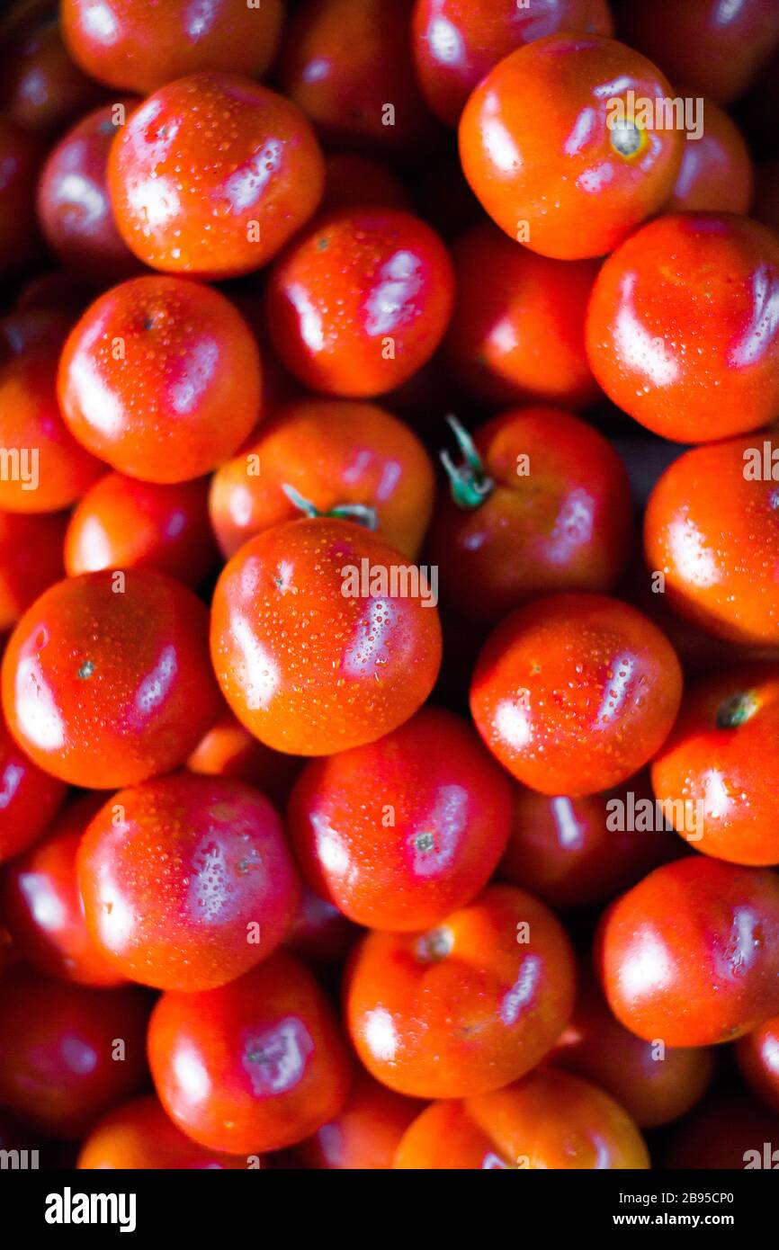 Fresh red tomato lying on the market counter. Red tomatoes texture ...