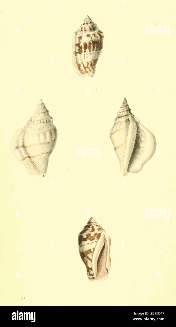 1821 71 hi-res stock photography and images - Alamy