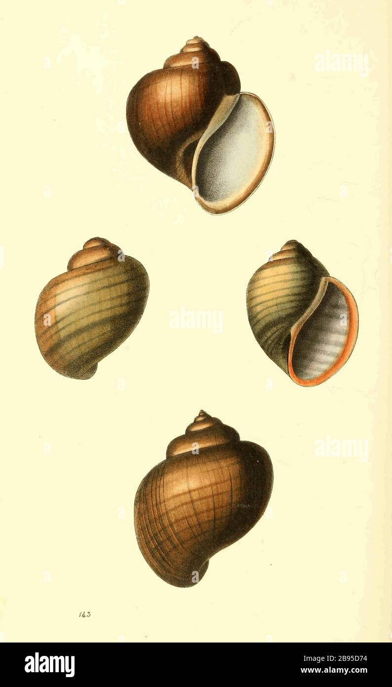 Oval name plate hi-res stock photography and images - Alamy