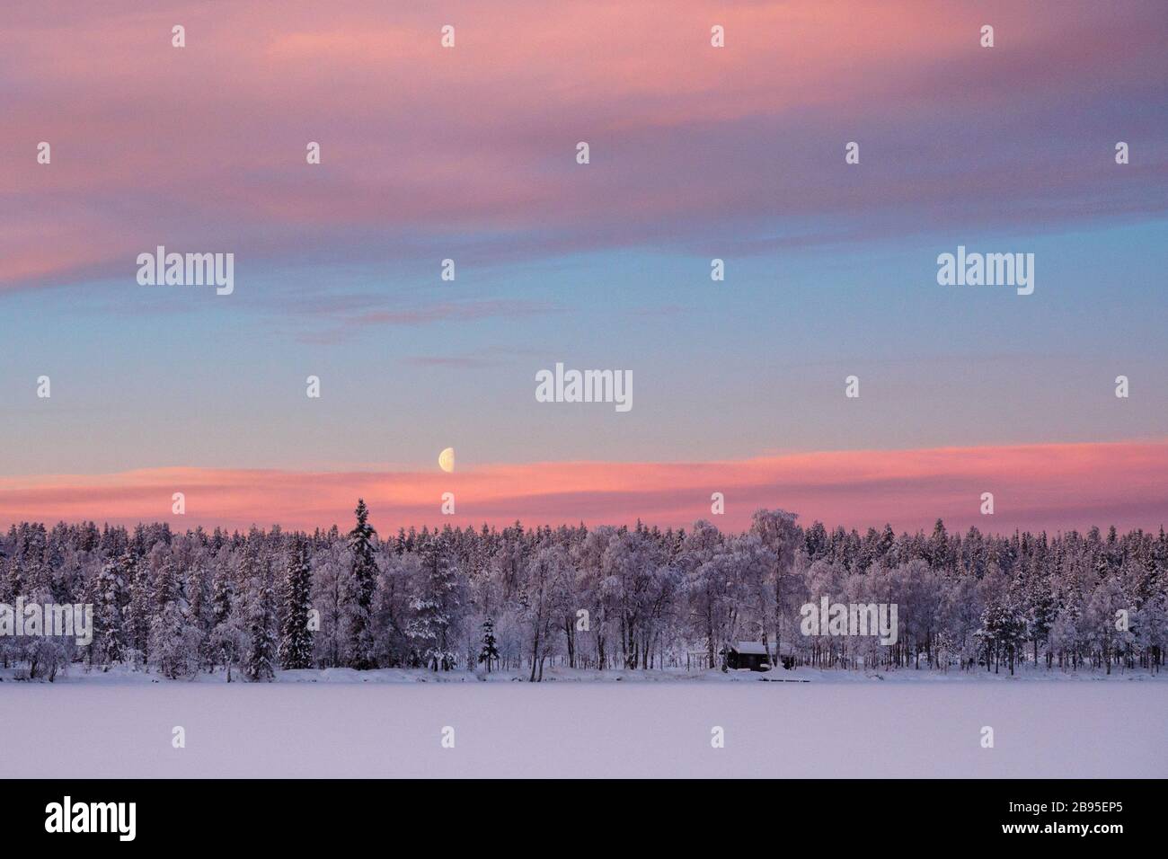 Lonely winter landscape with the moon shining on a forest and a cabin ...