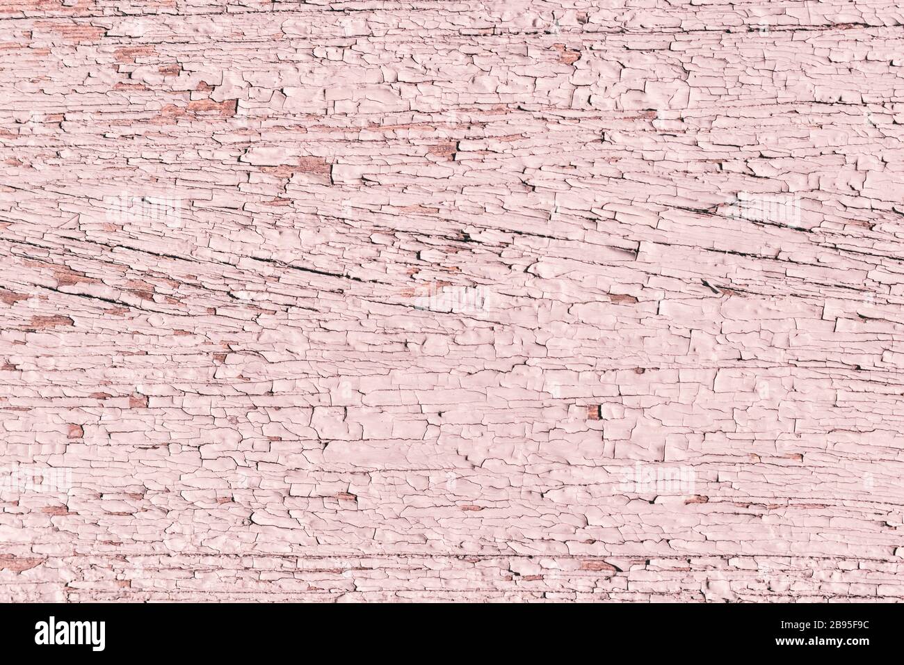 Rustic wood texture or background with pink pastel paint. Close-up ...