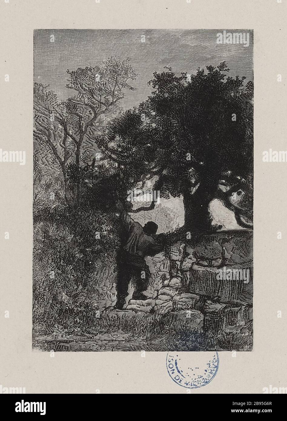 [Les Miserables, Part I, Book VII, Chapter IX] Scaling the wall or ...