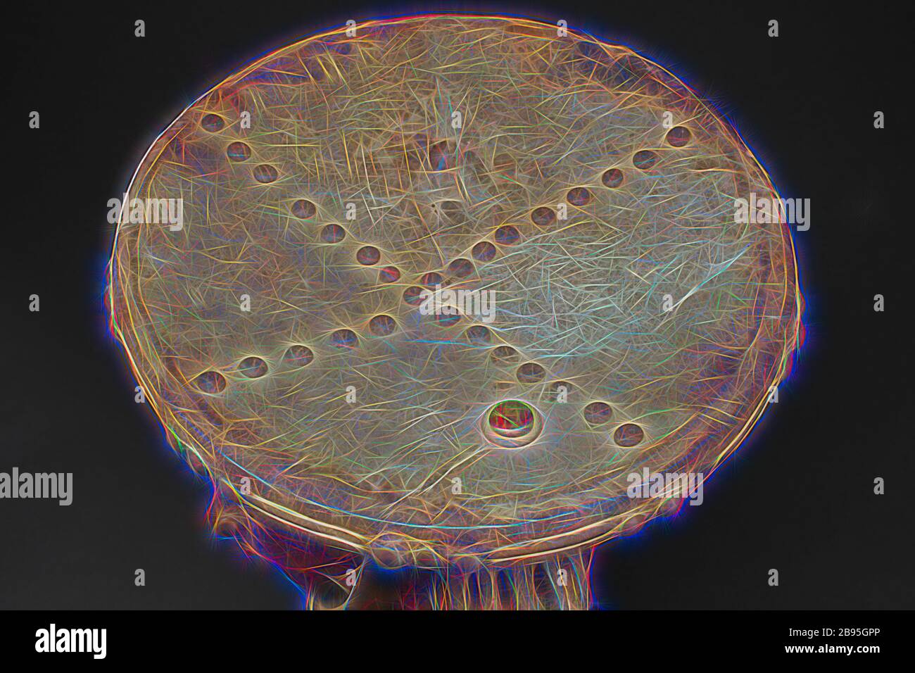 Zula art hi-res stock photography and images - Alamy