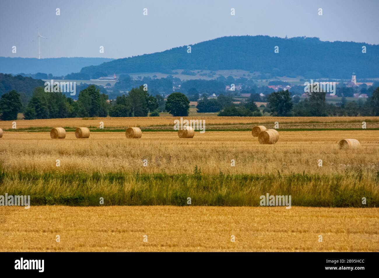 The packs of hay on the field after the harvest Stock Photo - Alamy