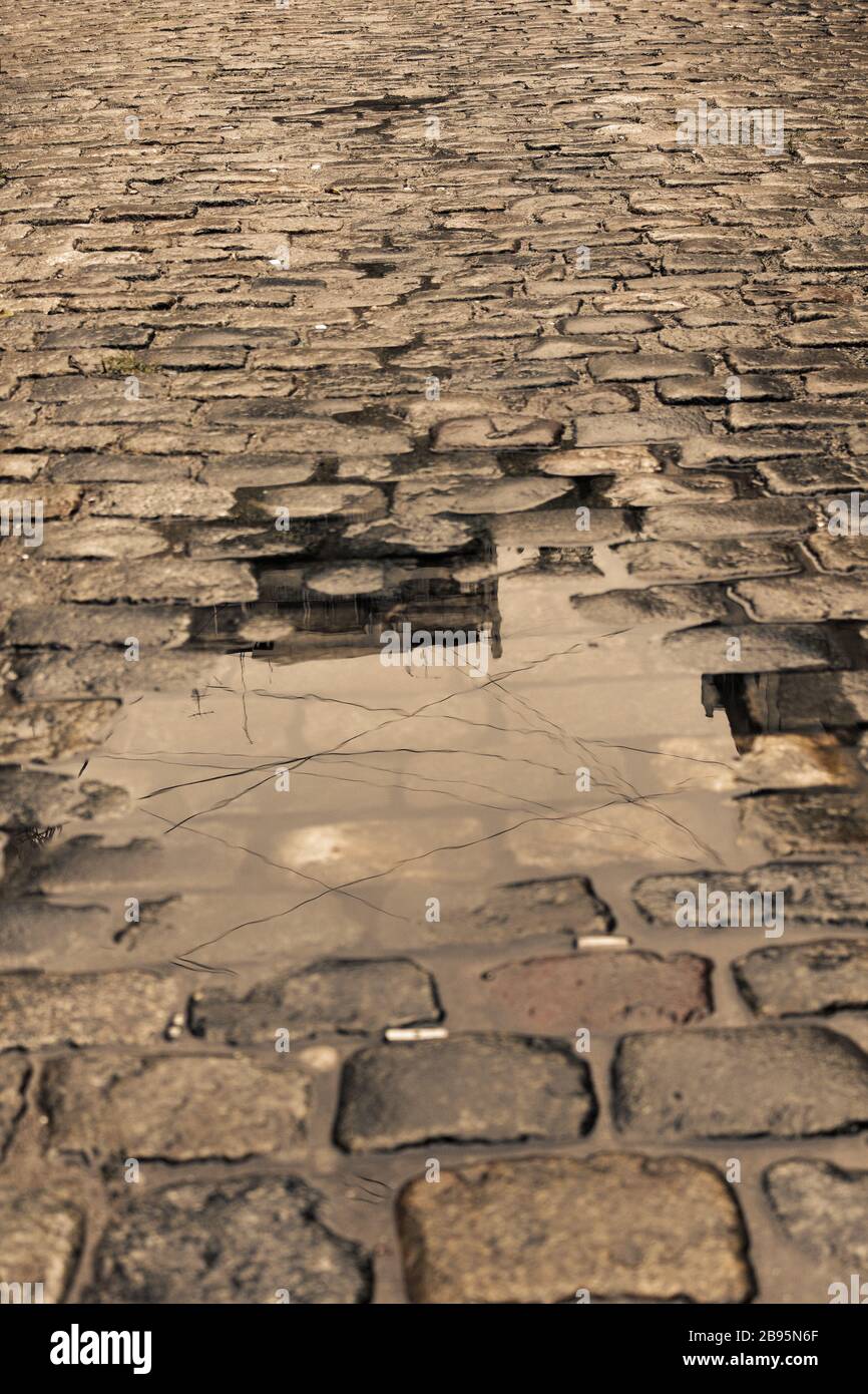 Wet cobbled street with a puddle on sunset on a rainy day in Buenos ...