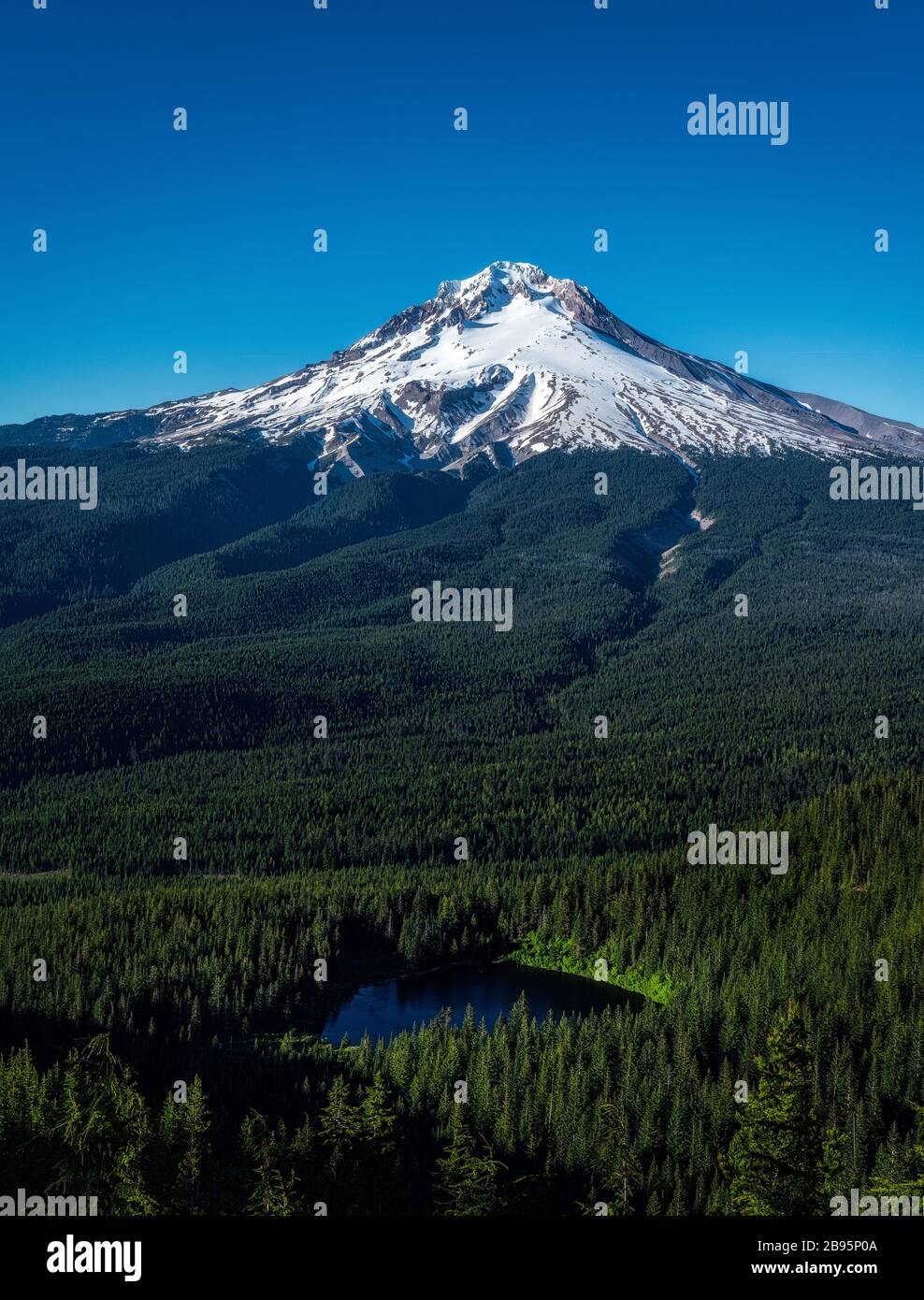 Oregon mountains mt hood