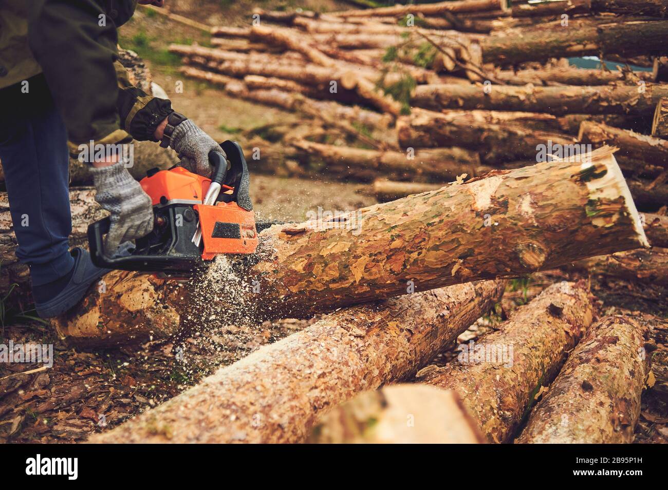 Chainsaw man power hi-res stock photography and images - Alamy