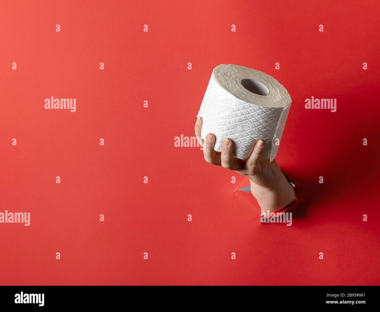 Woman hand through paper wall holding toilet paper roll. Toilet paper ...