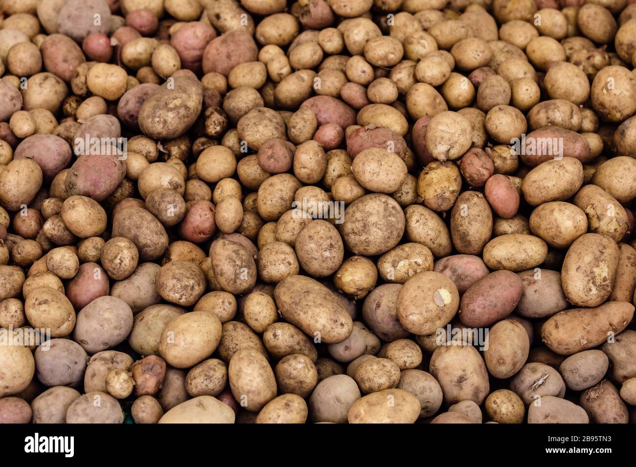 Ripe culture hi-res stock photography and images - Alamy