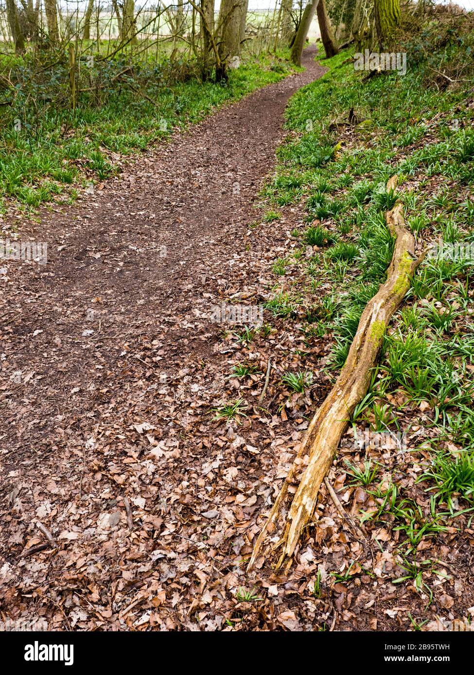 Ancient Path, Ridgeway National Trail, Nufield, Oxfordshire, England ...