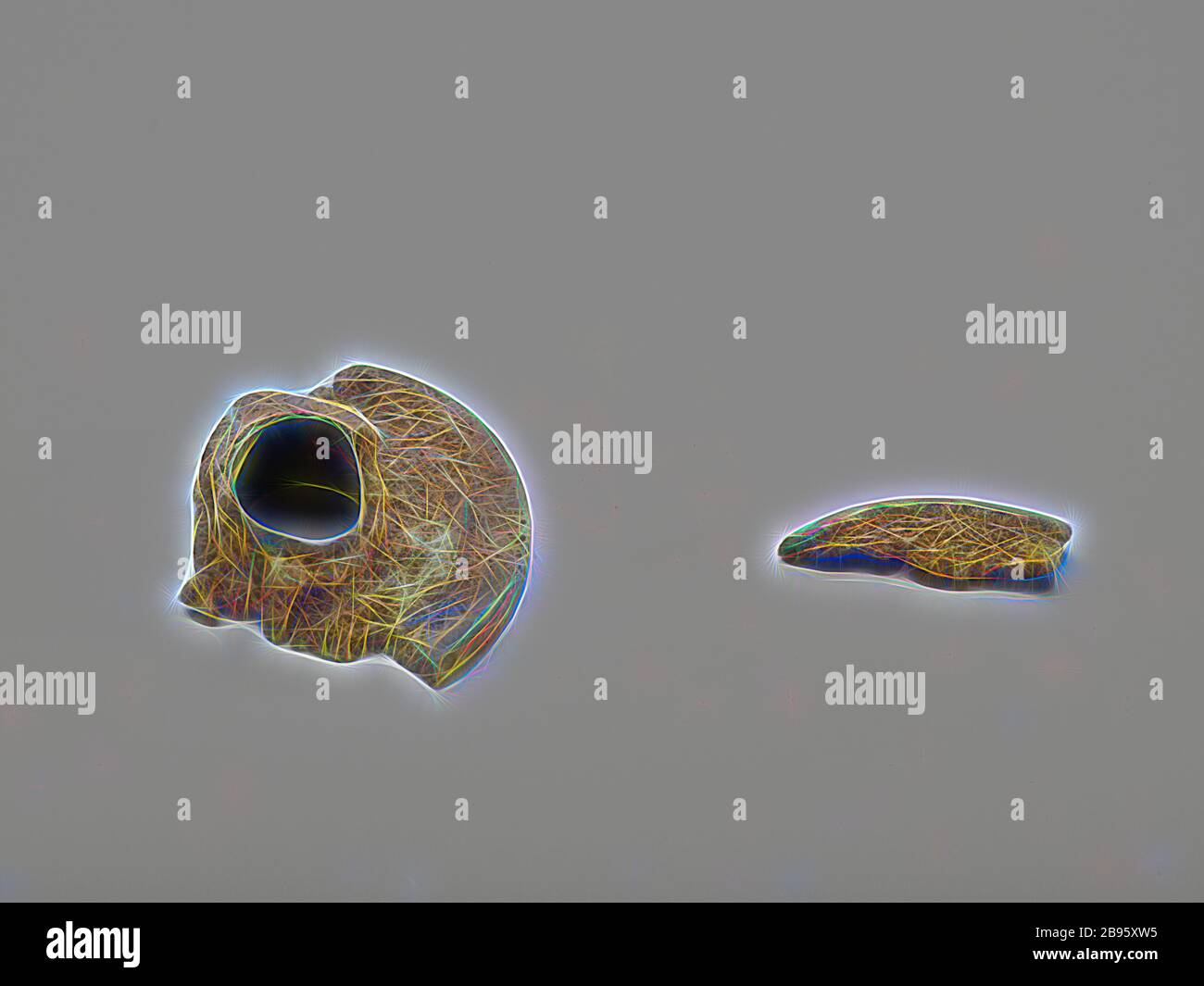 Middle mississippian culture people hi-res stock photography and images ...