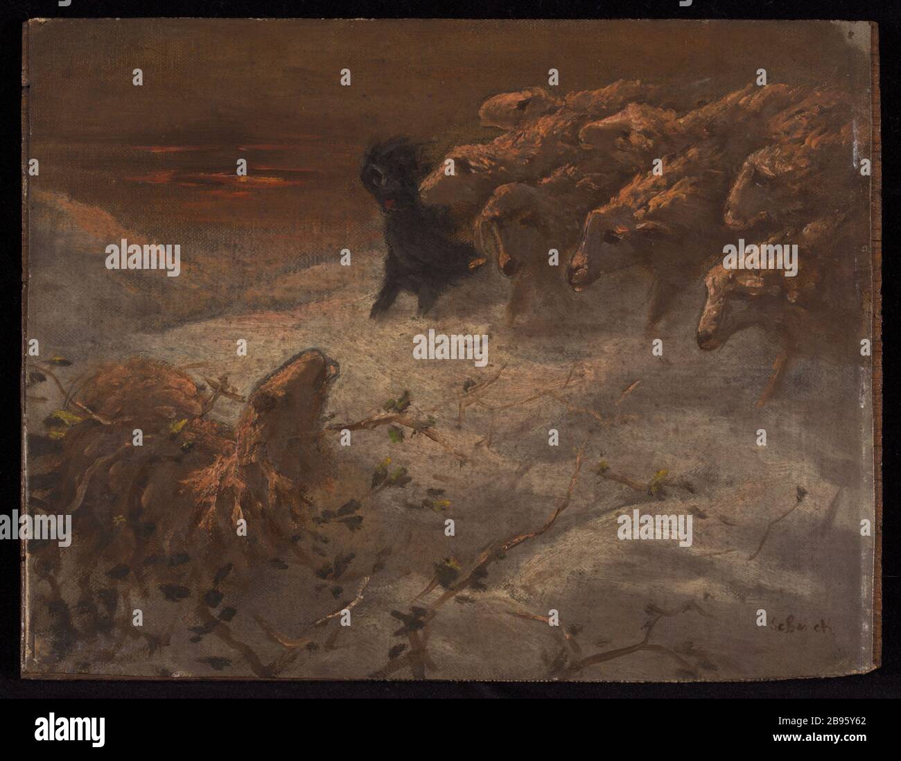 sheep August Schenck (1828-1901). "Moutons". Huile sur toile collée sur ...