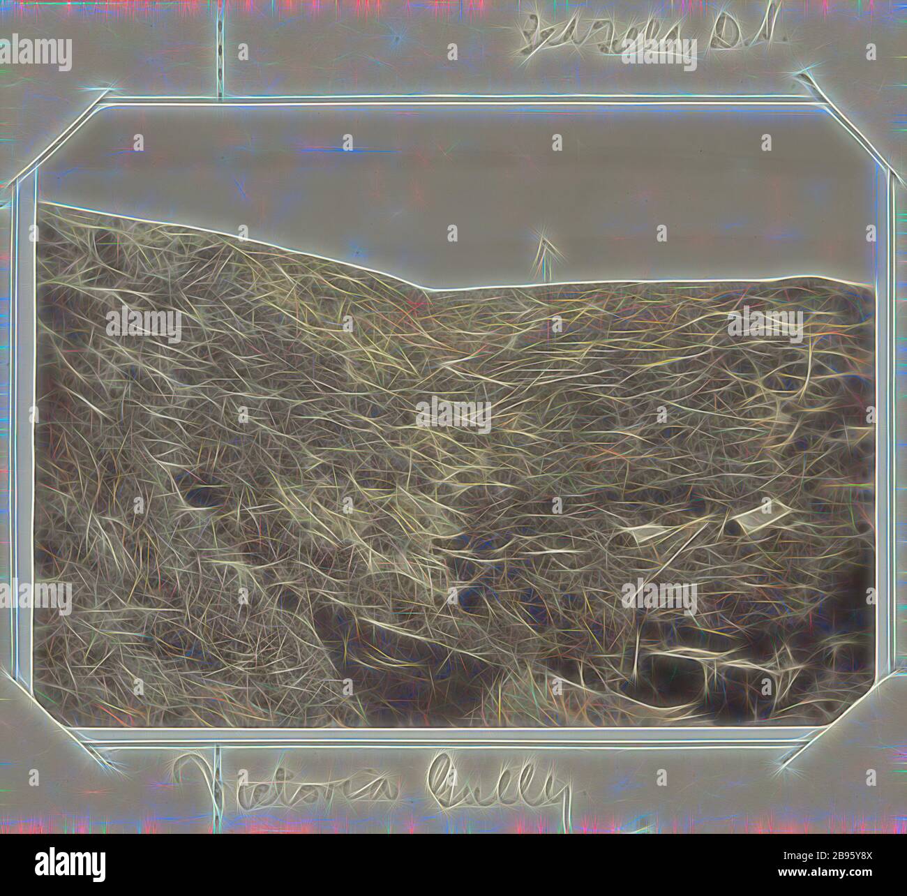 Photograph - 'Victoria Gully', Gallipoli, Turkey, Private John Lord ...