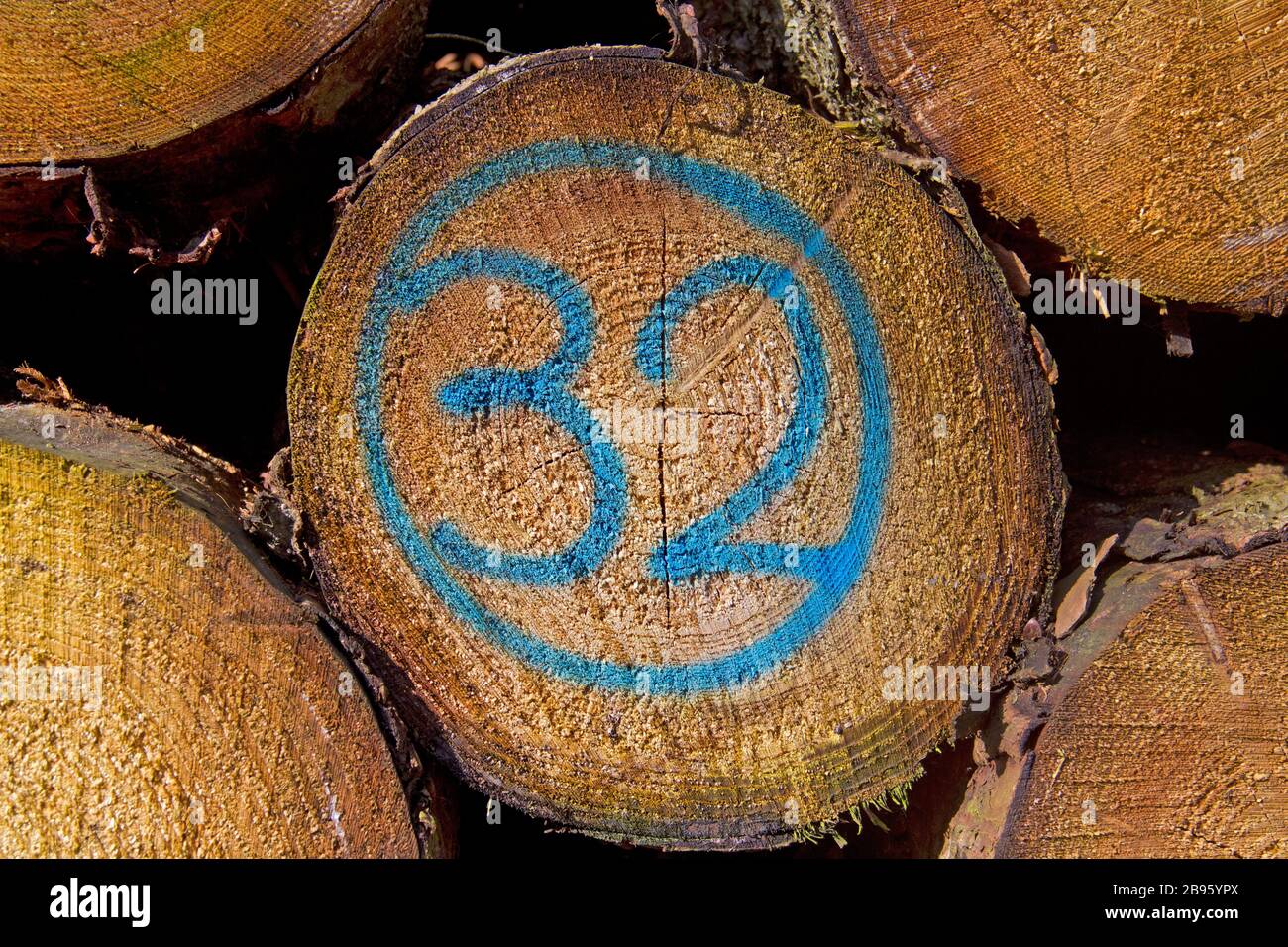Number 32 hi-res stock photography and images - Alamy